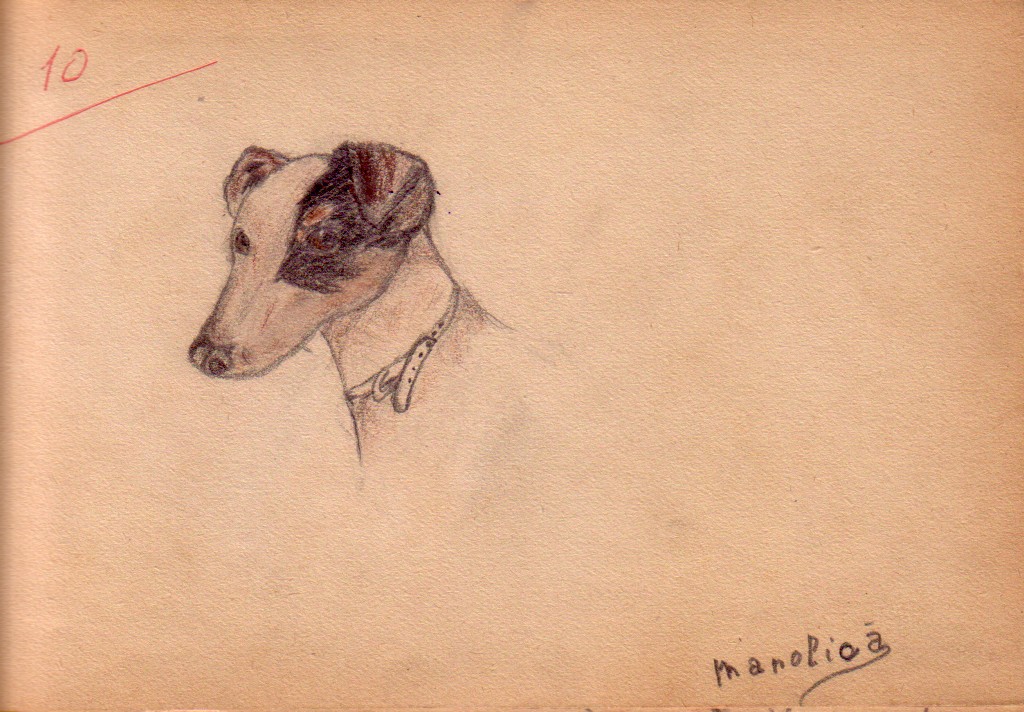 Un cap de caine desenat de bunicul meu pe vremea cand era elev – Desene ...
