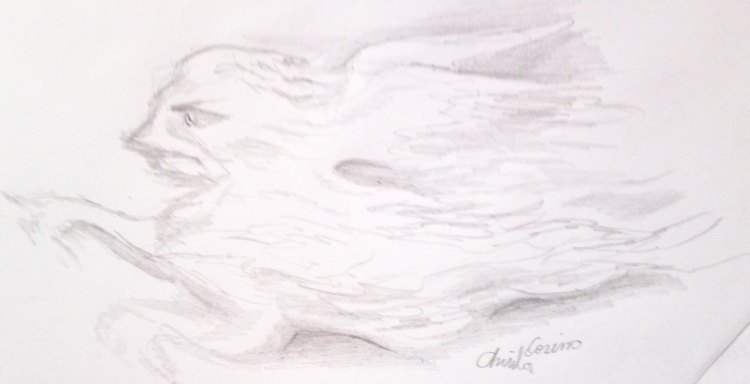 Desene in creion cu animale – Desene si picturi de Corina Chirila