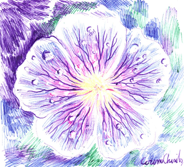 O floare desenata cu pixul – Desene si picturi de Corina Chirila
