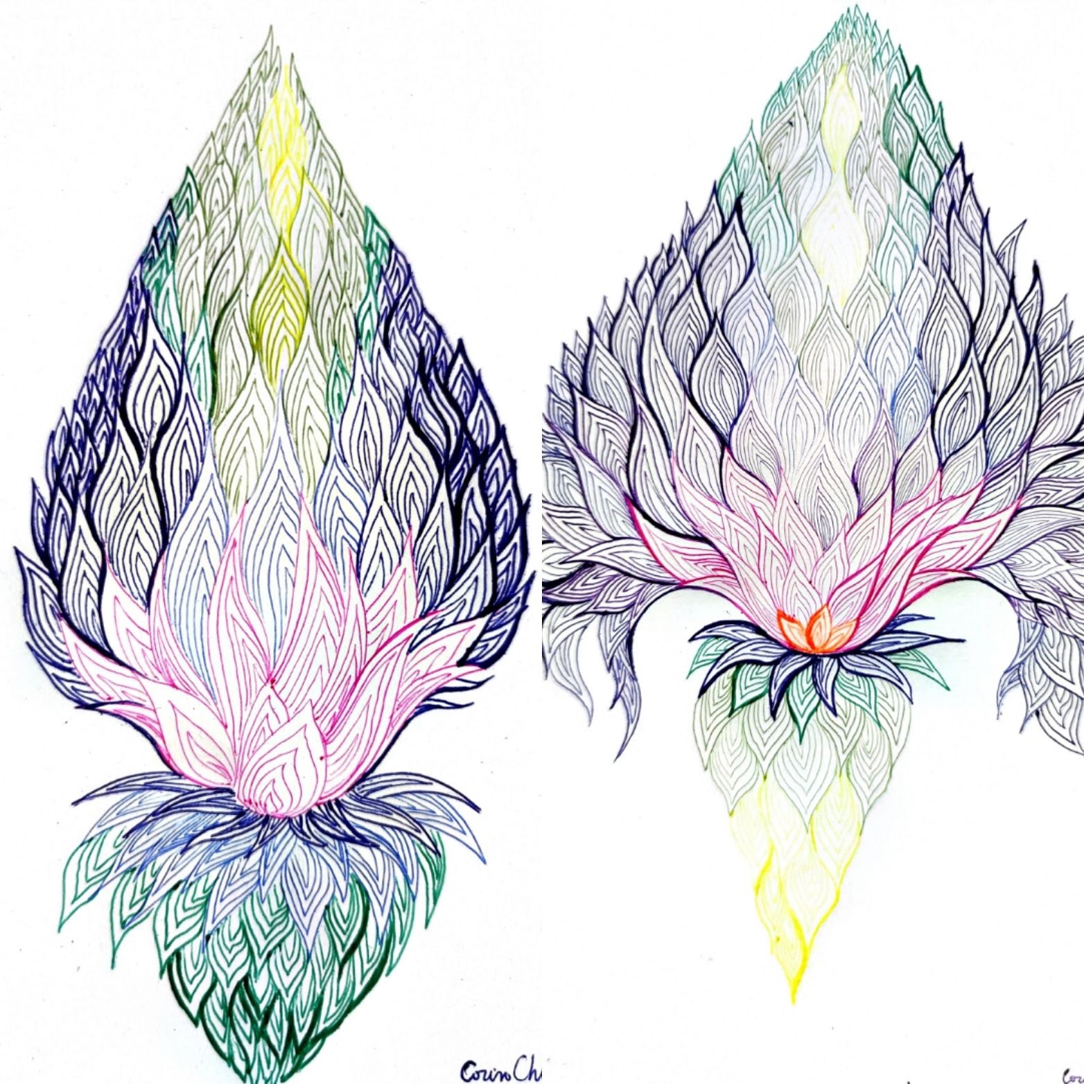 Structura vegetala, desene facute cu pixul – Desene si picturi de ...